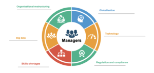 What is Bridges Transition Model? Change vs Transition Explained